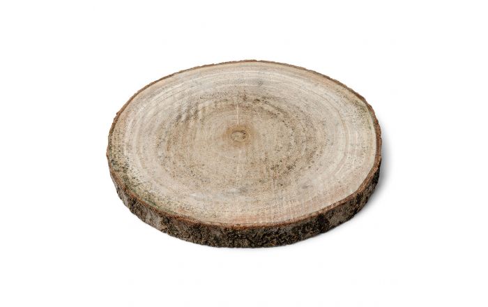 Rondin de bois 15x2cm